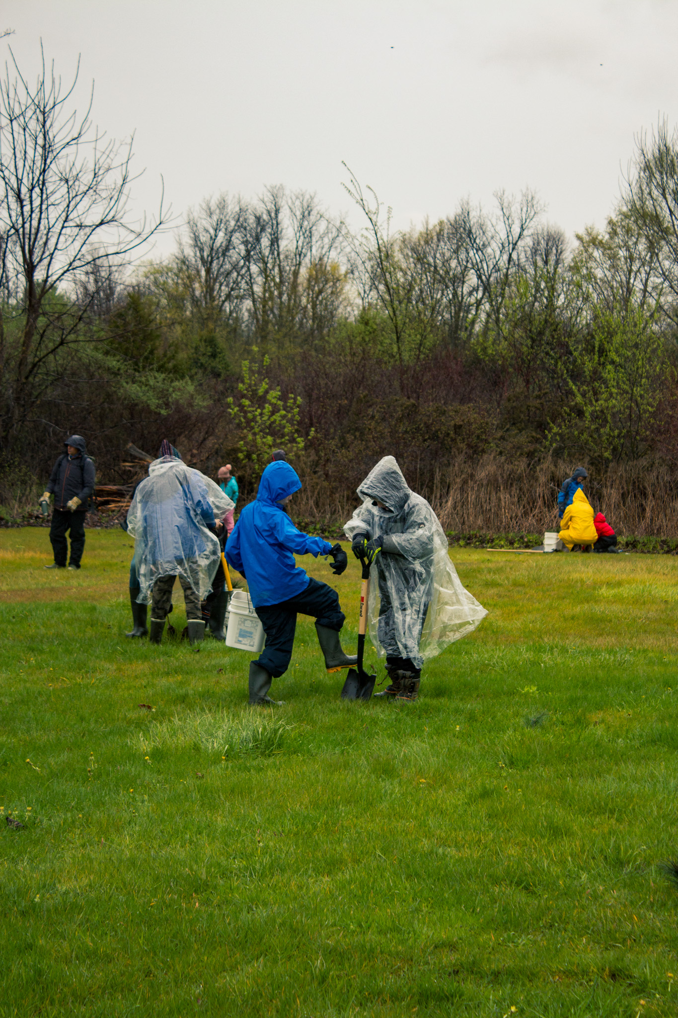 COLLABORATING WITH YOUTHS TO RESTORE CONSERVATION AREAS IN THE LONG ...